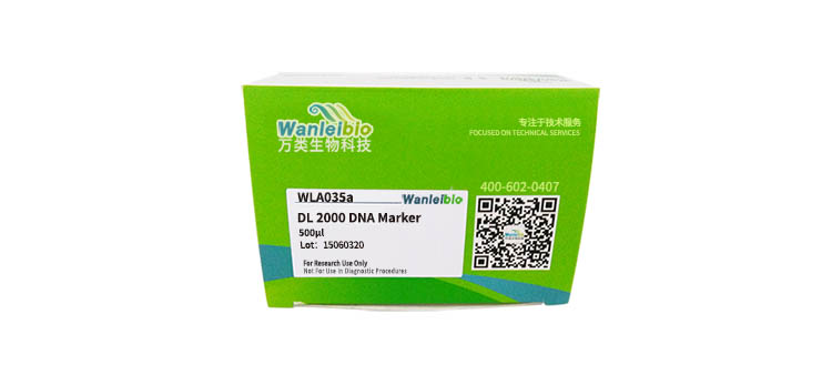 万类生物-试剂商城-DL 2000 DNA Marker